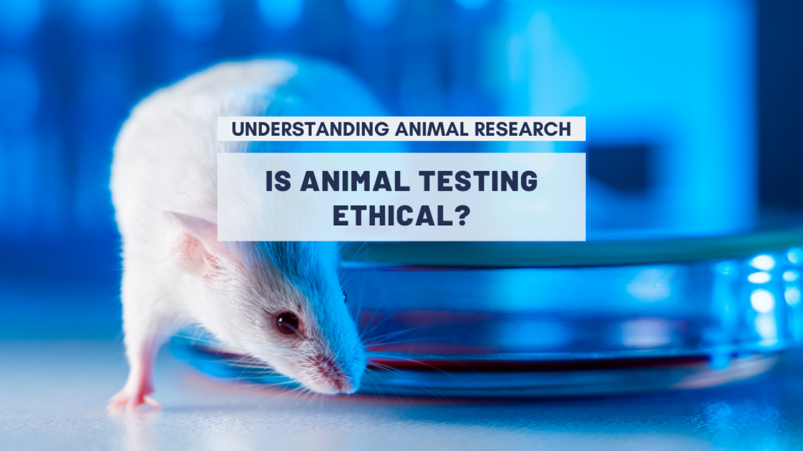 Animal testing from a utilitarian perspective | linkr